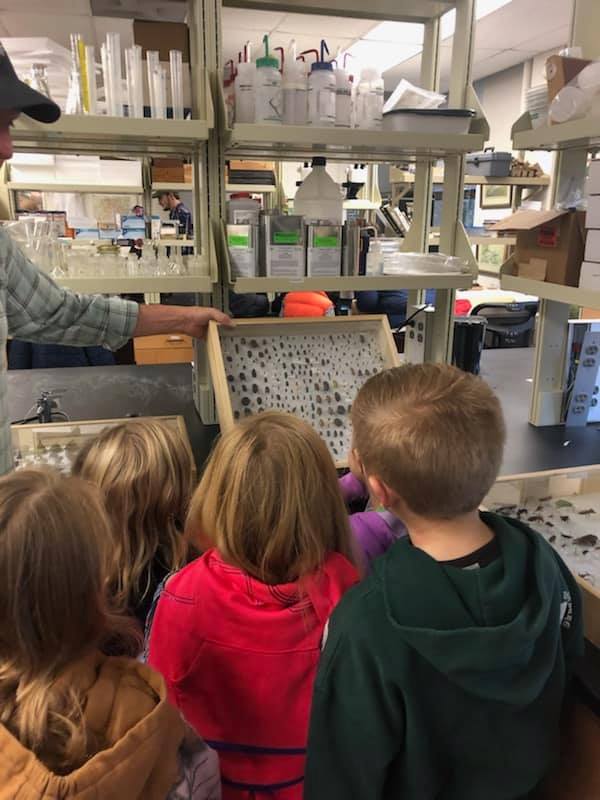 Elementary Education – Education | Missouri S&T